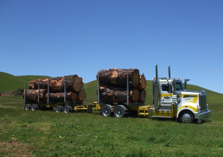 Satherley Logging | Specialists in Log Transport