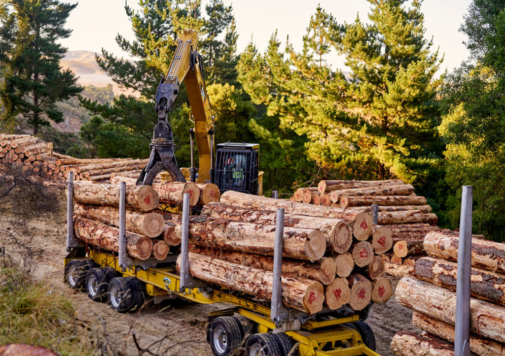 Satherley Logging | Specialists in Log Transport