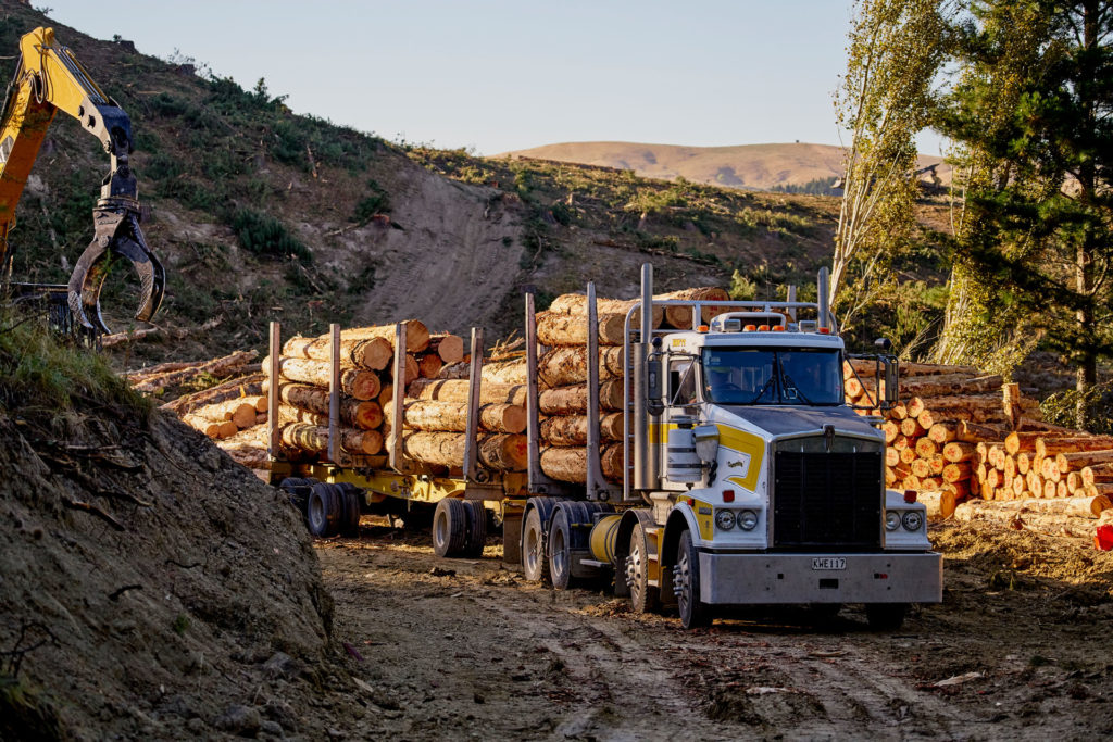 Satherley Logging | Specialists in Log Transport
